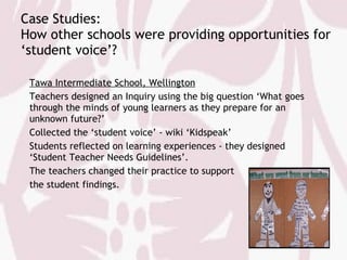 Napp inquiry presentation | PPT | Professional School | Postgraduate Education