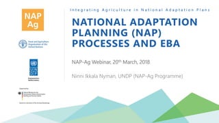 National adaptation planning (NAP) processes and EbA | PPTX
