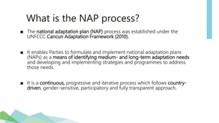 National adaptation planning (NAP) processes and EbA | PPT