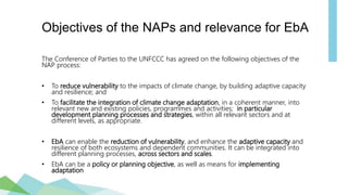 National adaptation planning (NAP) processes and EbA | PPT