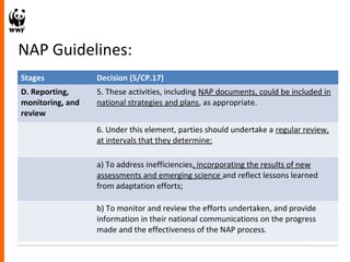National Adaptation Plans (NAPs) | PPT