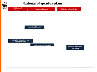 National Adaptation Plans (NAPs) | PPT