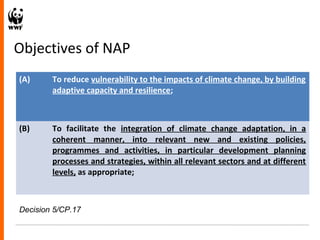 National Adaptation Plans (NAPs) | PPT