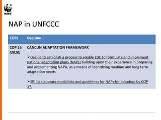 National Adaptation Plans (NAPs) | PPT