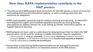 UNEP LDCF projects and NAPs | PDF