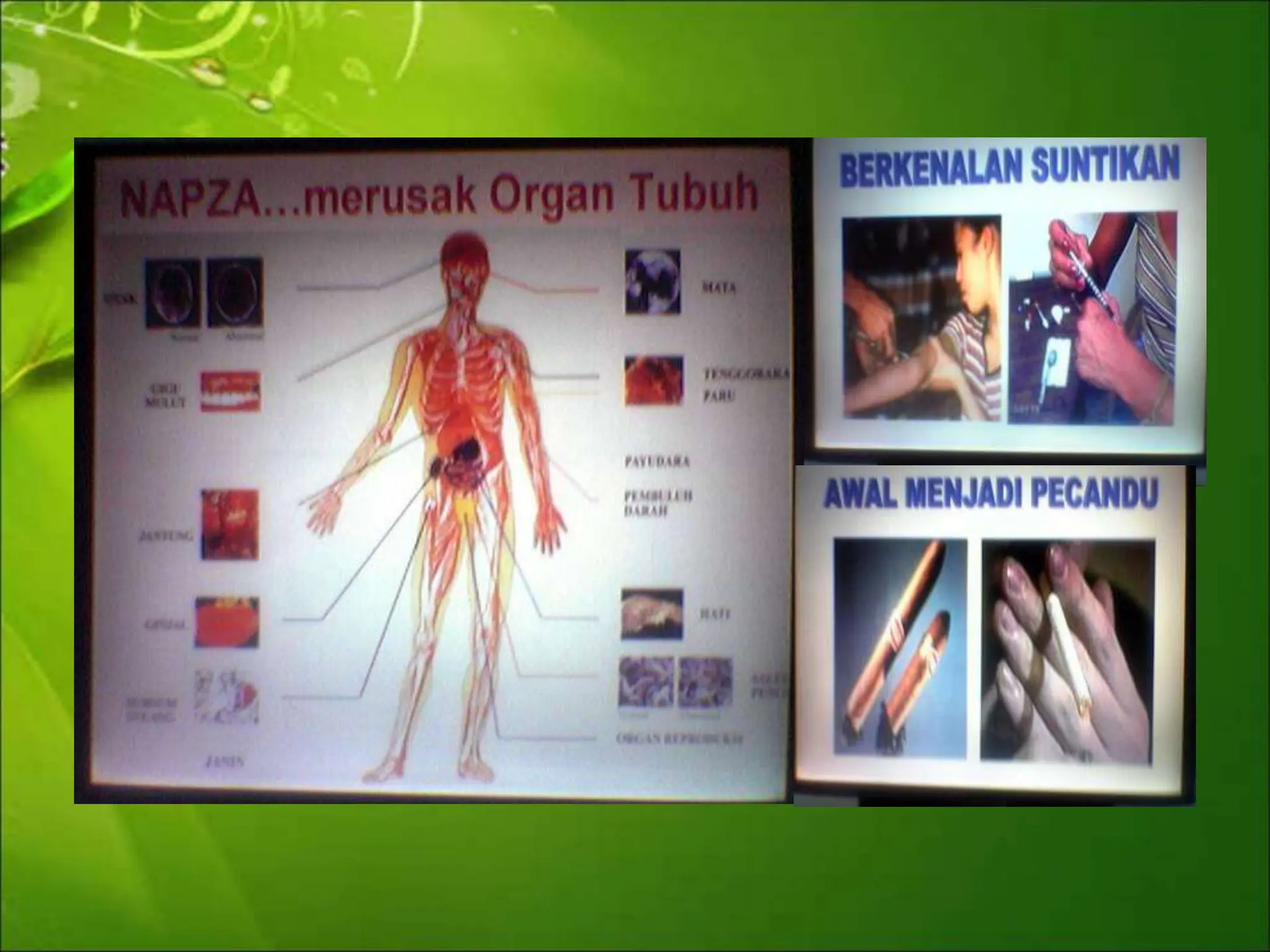 Presentasi tentang pencegahan penggunaan NAPZA.ppt