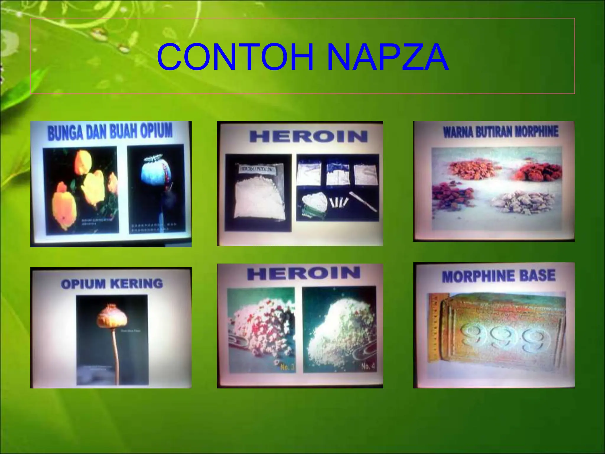 Presentasi tentang pencegahan penggunaan NAPZA.ppt