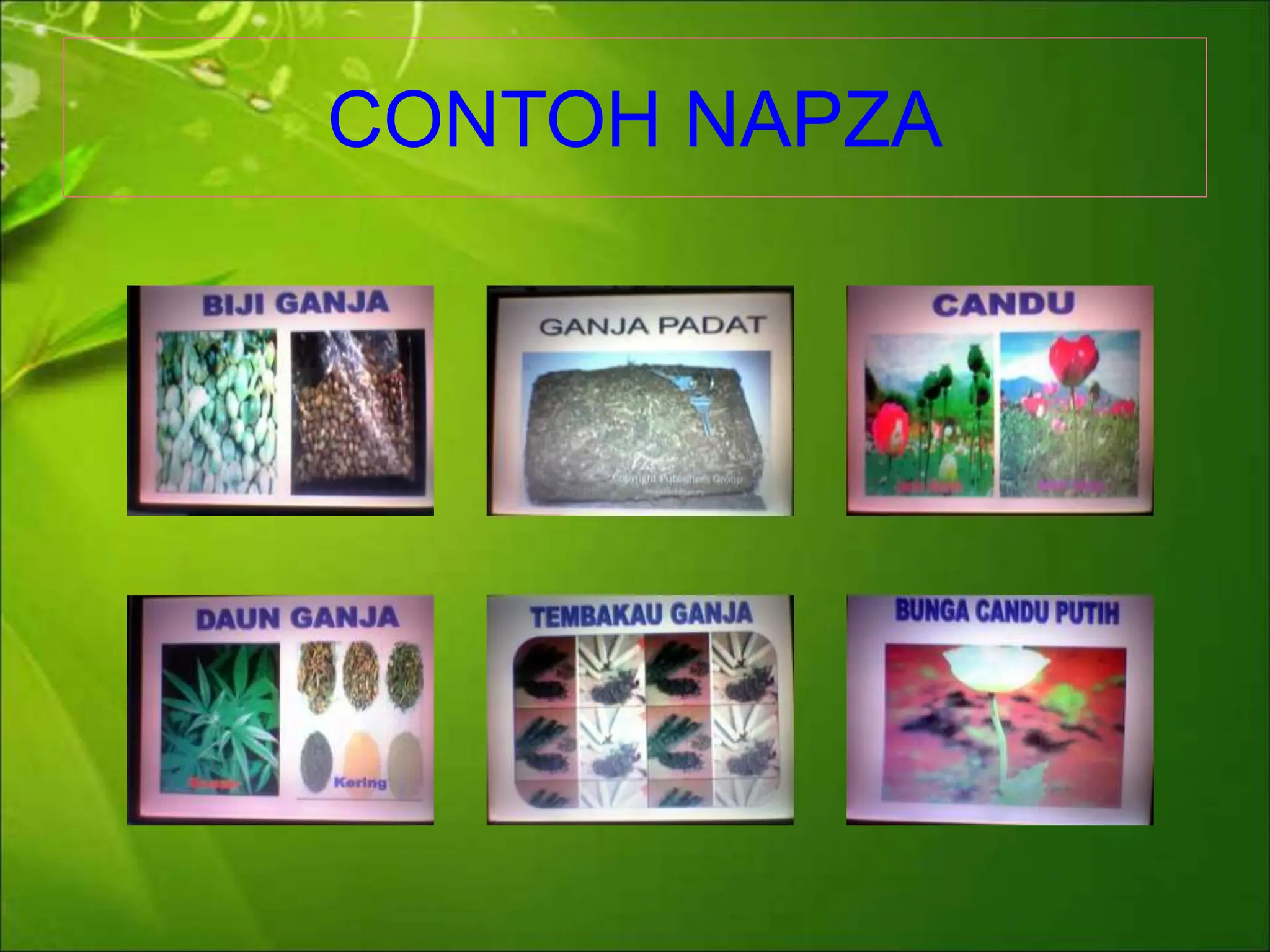 Presentasi tentang pencegahan penggunaan NAPZA.ppt