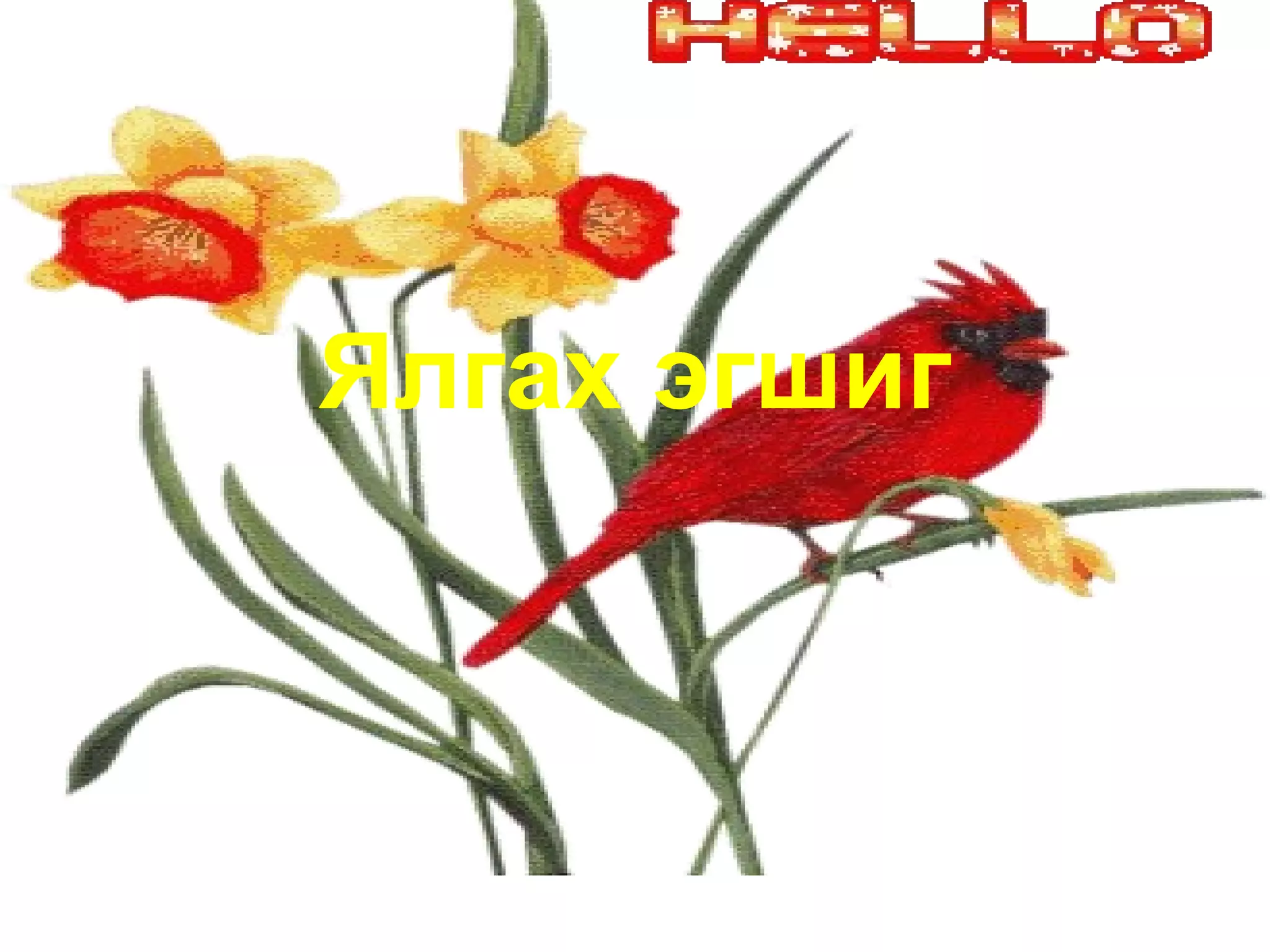 Naraa 2в ялгах эгшиг цахим хичээл | ODP