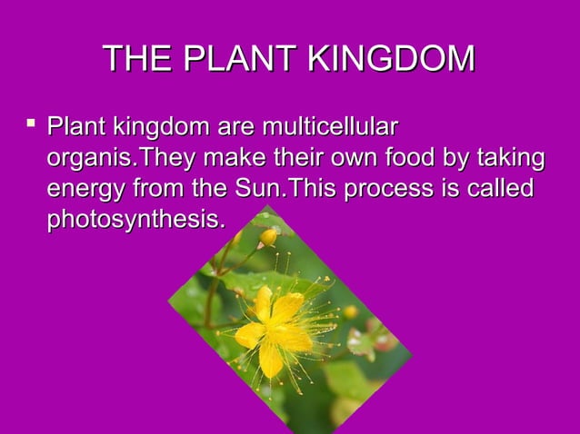 living things 5 kingdoms | PPT | Biological Sciences | Science