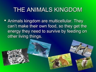 living things 5 kingdoms | PPT