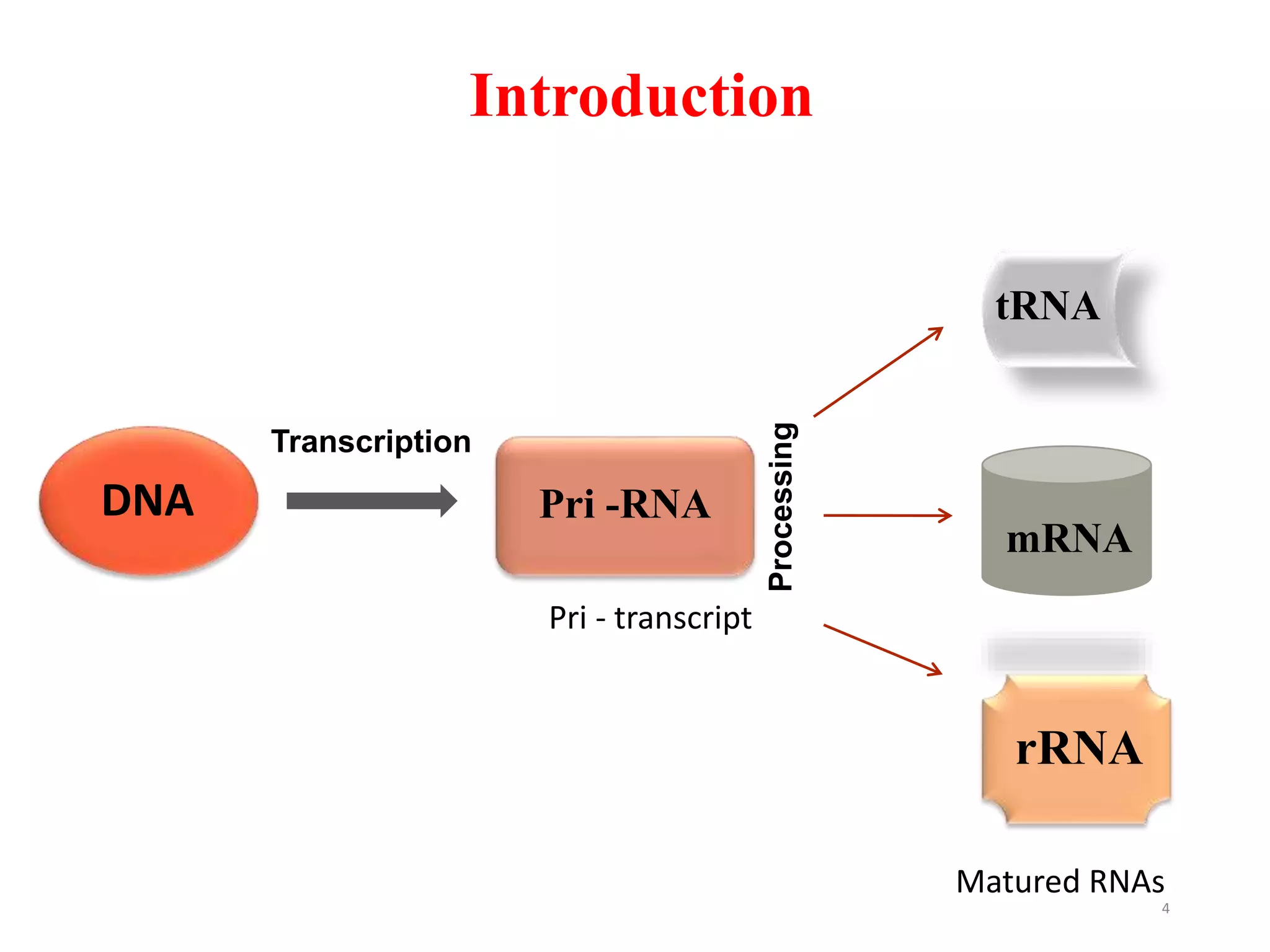 post transcriptional modifications | PPTX