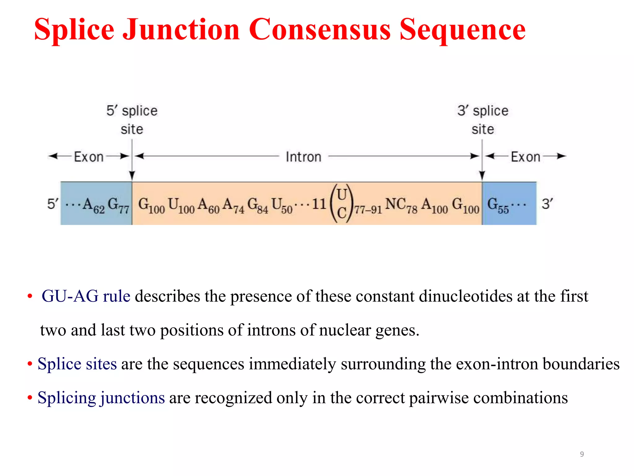 post transcriptional modifications | PPTX