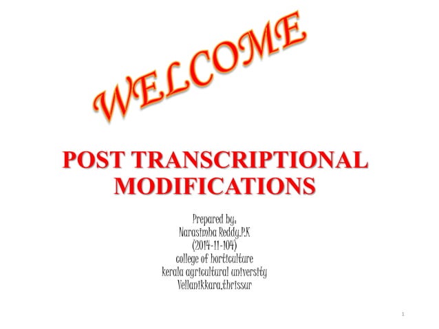 post transcriptional modifications | PPTX | Programming Languages ...