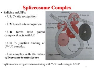 post transcriptional modifications | PPTX