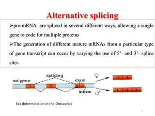 post transcriptional modifications | PPTX