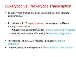 post transcriptional modifications | PPTX