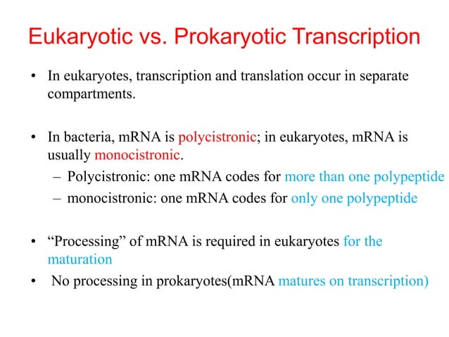 post transcriptional modifications | PPTX | Programming Languages ...