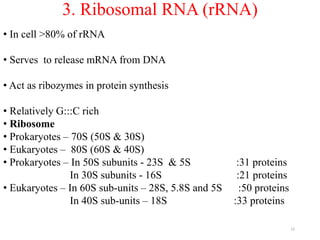 post transcriptional modifications | PPTX