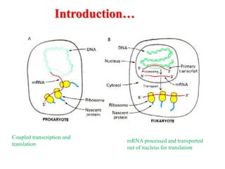 post transcriptional modifications | PPTX