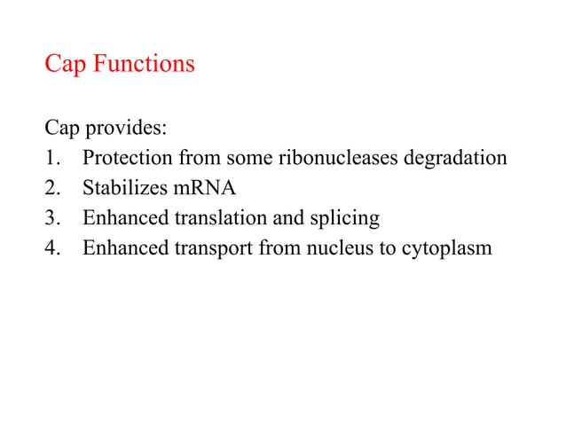 Post Transcriptional Modifications Pptx Programming Languages Computing