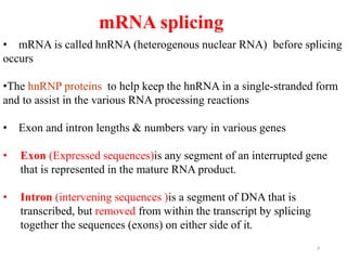 post transcriptional modifications | PPTX