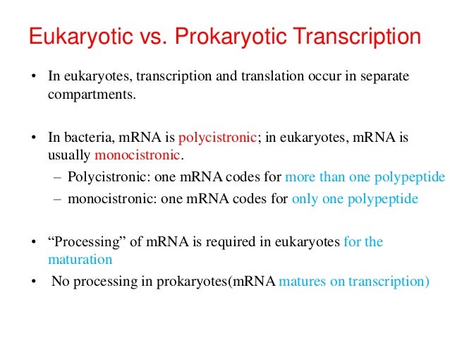 post transcriptional modifications