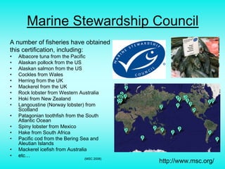 Sustainable seafood campaign | PDF