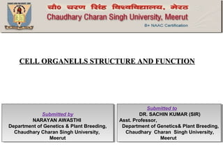 Narayan presentation of cell | PPT