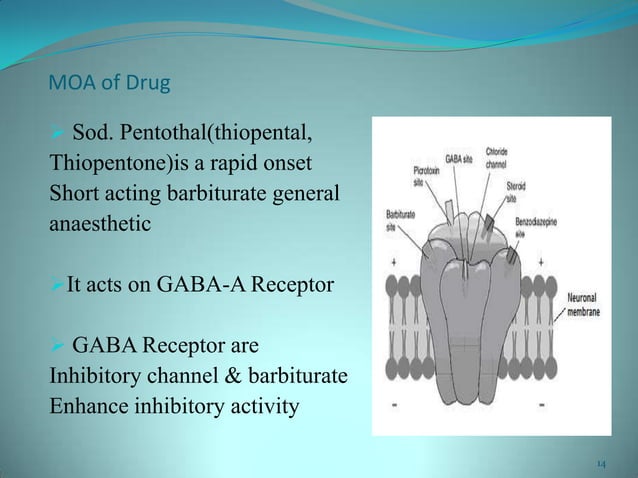 Narco analysis | PPTX