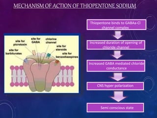 Narco analysis final ppt | PPT