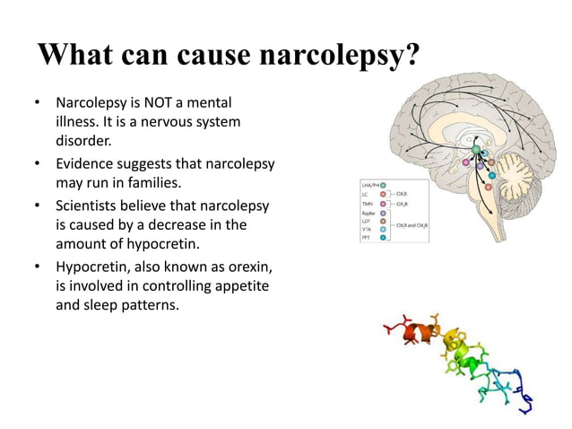 Narcolepsy | PPTX | Sleep Disorders | Diseases and Conditions