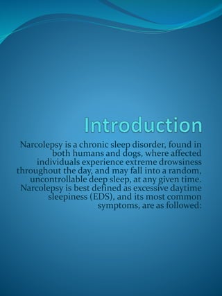 Narcolepsy assignment by daniel babic | PPTX