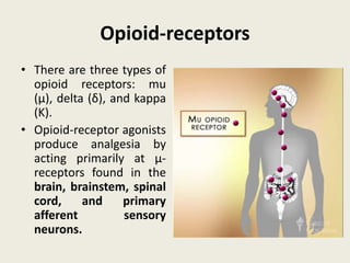 Narcotic analgesic - Dental Pharmacology | PPT