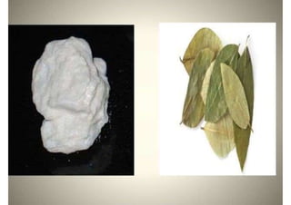 Narcotics Drugs and Psychotropic Substance and drugs | PPTX