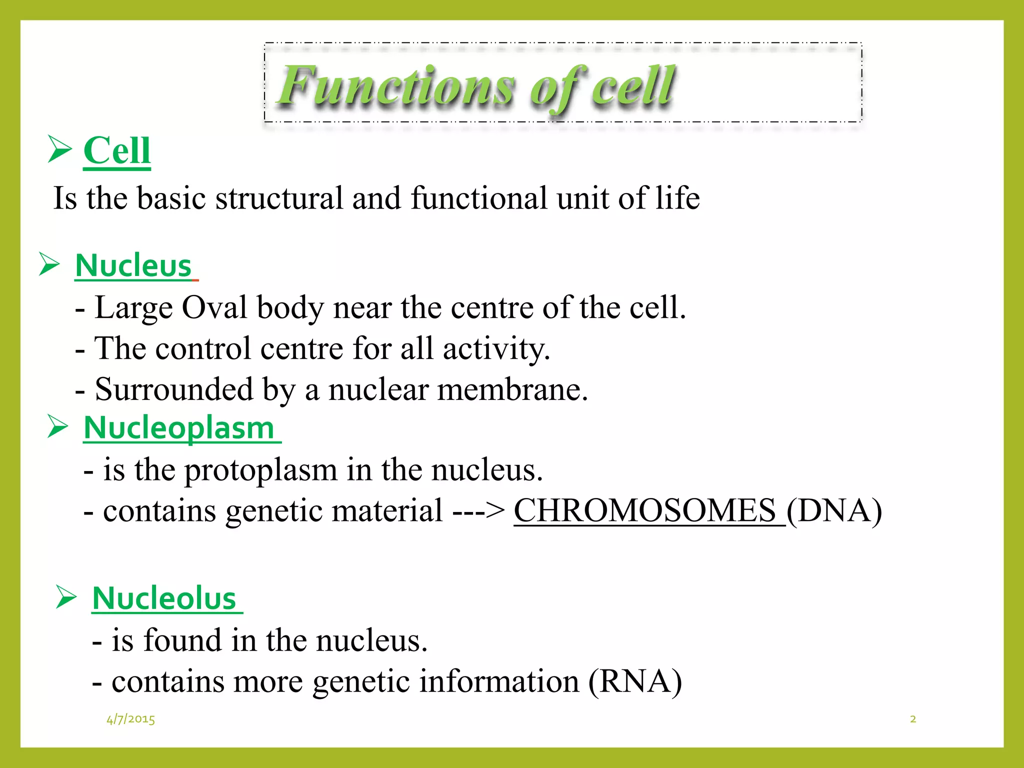 functions of cell | PPTX