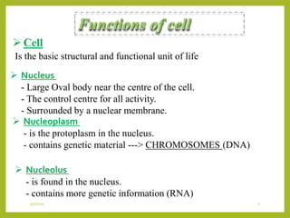 functions of cell | PPTX