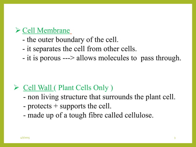 functions of cell | PPTX | Biological Sciences | Science