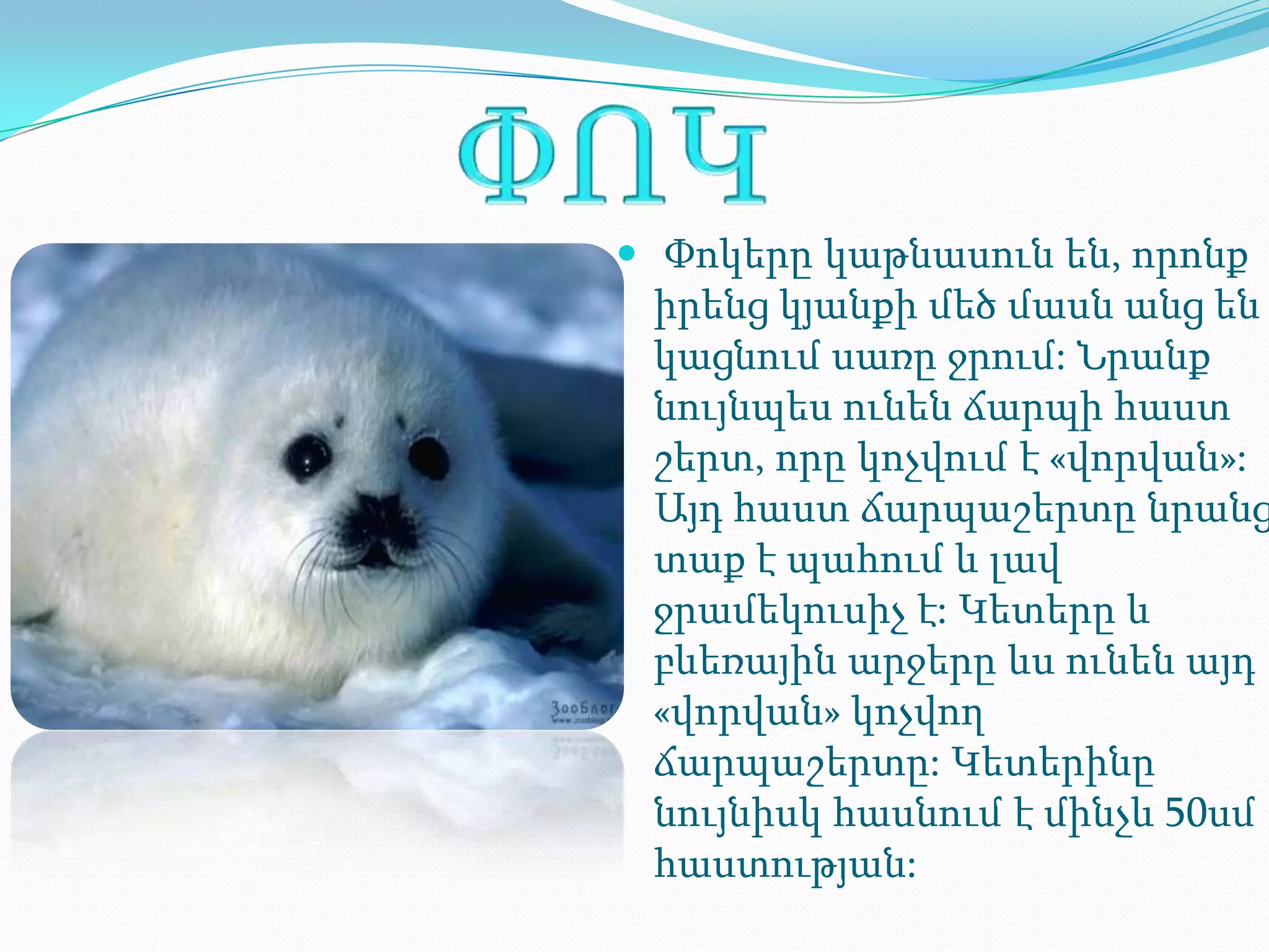 Narek beverajin kendaniner | PPTX