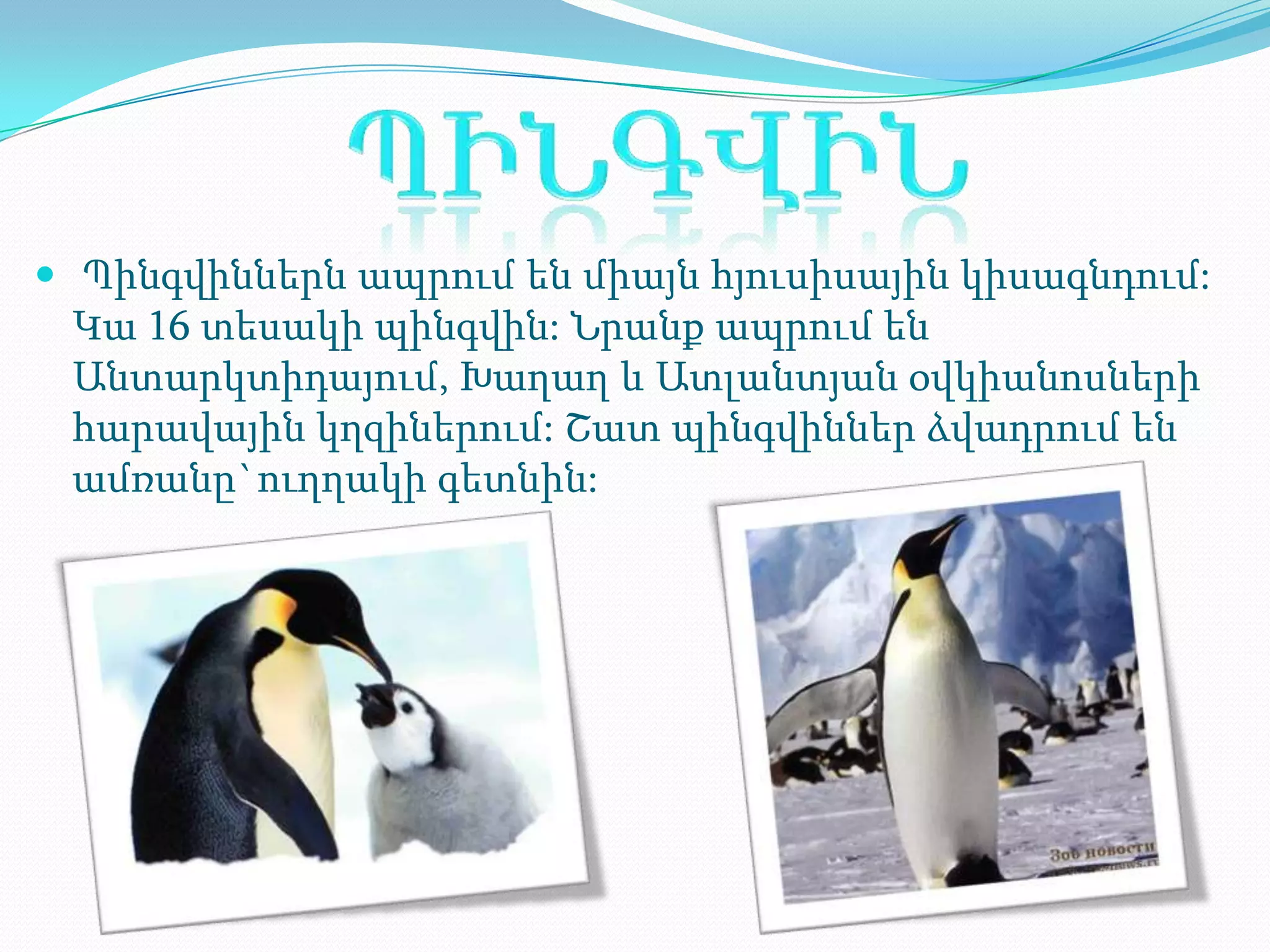 Narek beverajin kendaniner | PPTX