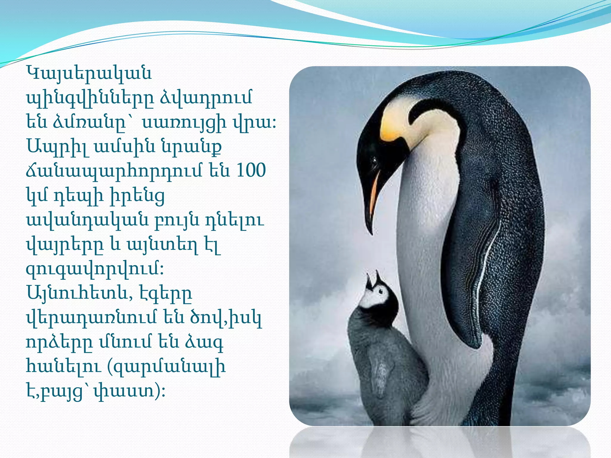 Narek beverajin kendaniner | PPTX