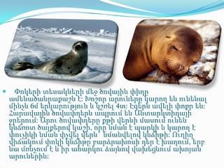 Narek beverajin kendaniner | PPTX