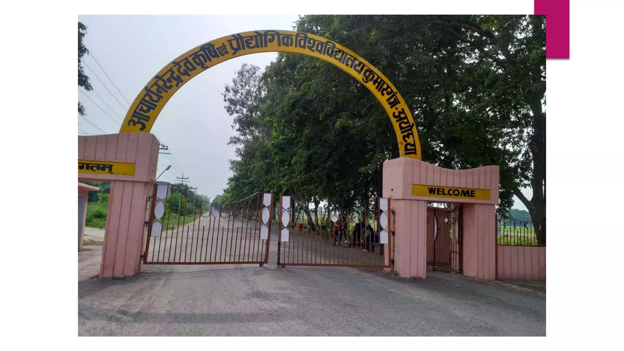 Acharya Narendra Deva University of Agriculture and Technology | PPTX