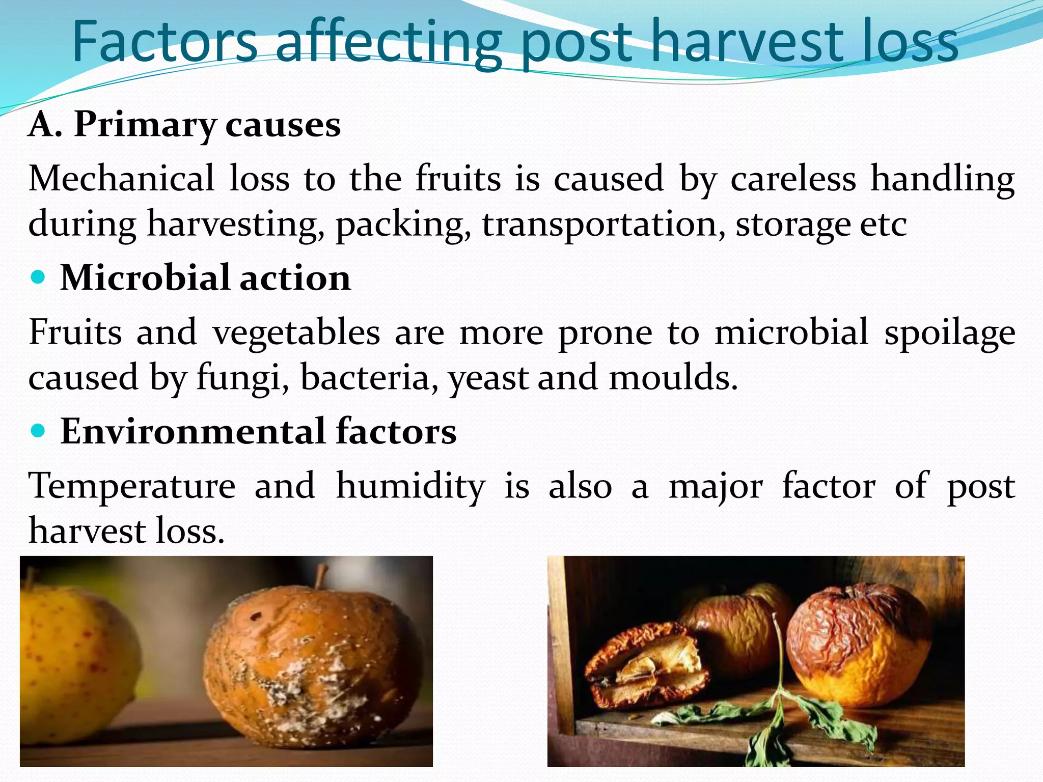 Management of Post-Harvest Losses in Fruits and Vegetables | PPTX