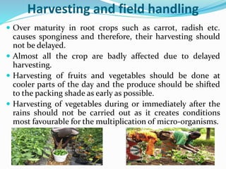 Management of Post-Harvest Losses in Fruits and Vegetables | PPTX