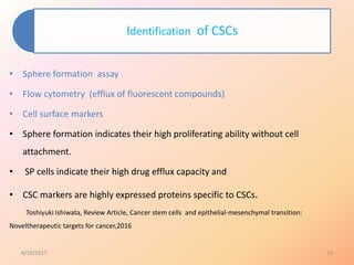 Role of cancer stem cells in cancer therapy | PPTX