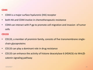 Role of cancer stem cells in cancer therapy | PPTX