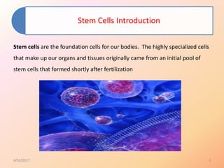 Role of cancer stem cells in cancer therapy | PPTX