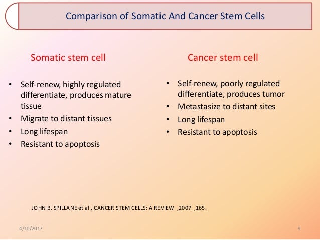 Role of cancer stem cells in cancer therapy