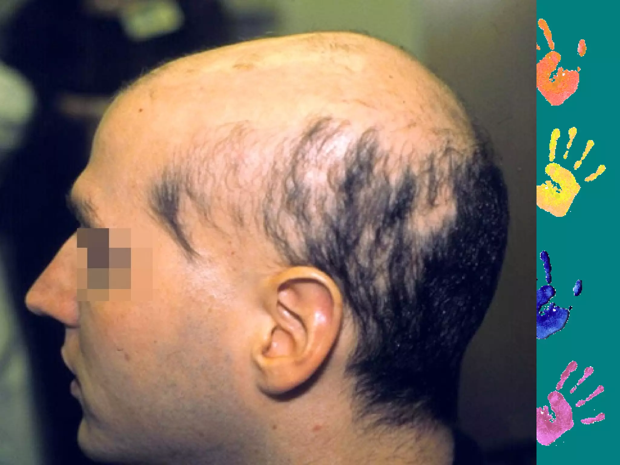 Nargess Tavakoli | PPT